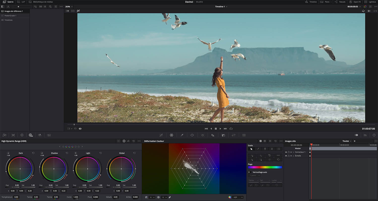 Différence entre Adobe Premiere Pro et DaVinci Resolve - Tuto-vidéos Différence entre Adobe Premiere Pro et DaVinci Resolve - Tuto-vidéos